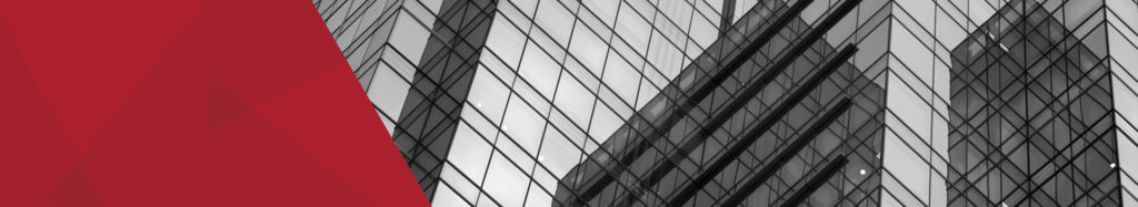 ABIP – Houston and San Antonio Accounting Firm Services