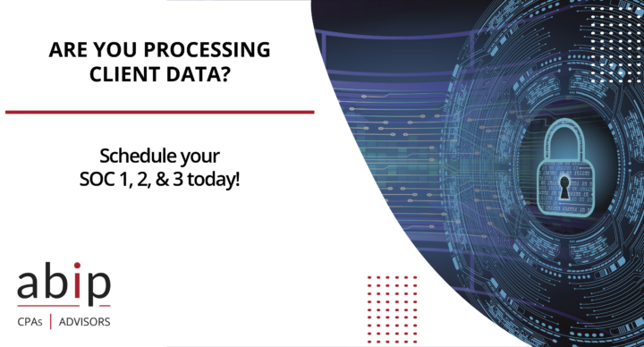 ABIP – Houston and San Antonio Accounting Firm Services